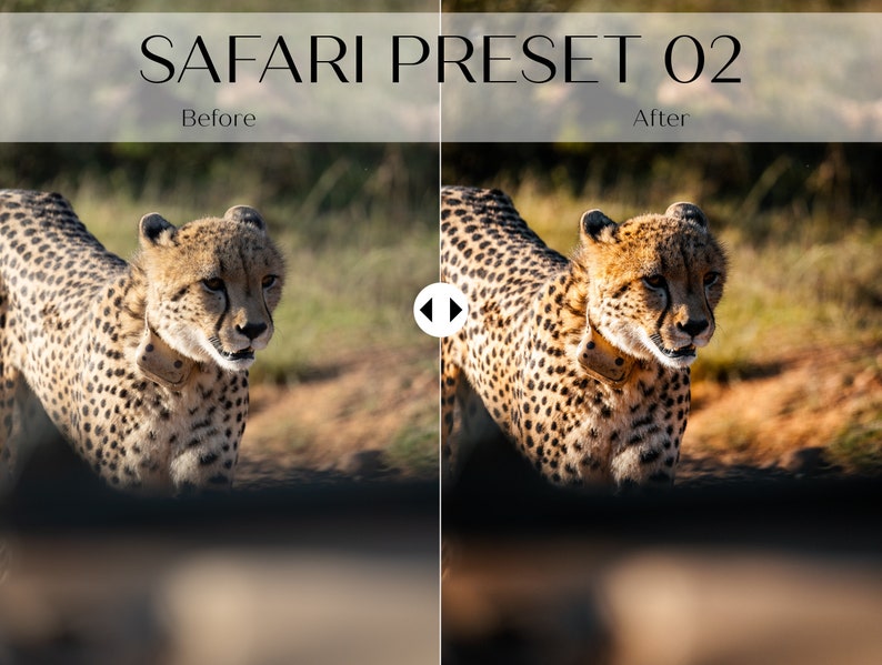 Safari Lightroom Preset Pack for Desktop and Mobile - Influencer Presets/photo Filters ...
