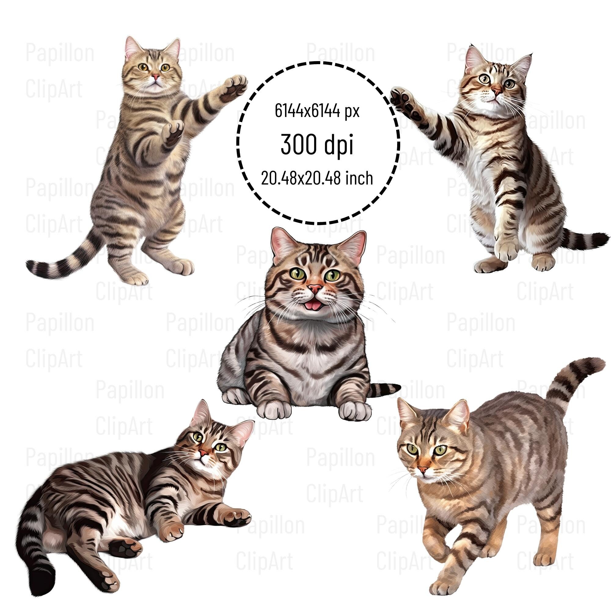 Tabby Cat Clipart 3 10 Transparent PNG L High Quality Watercolor Cat ...