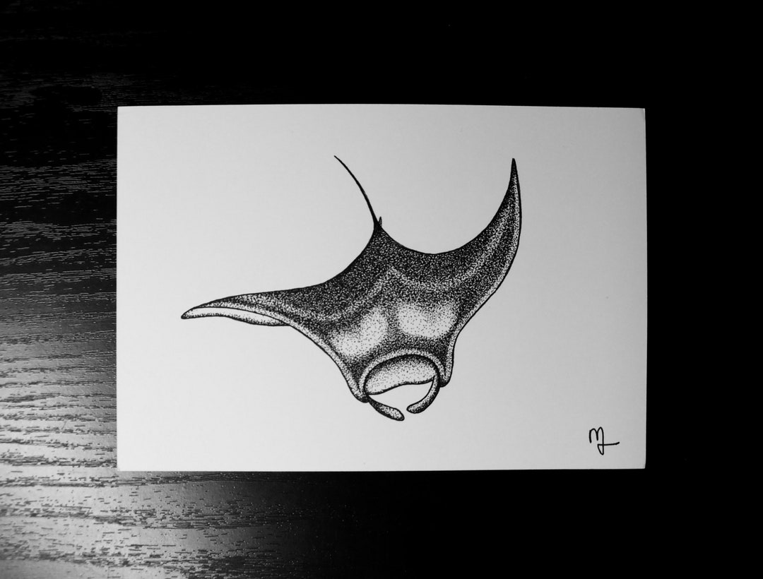 Manta Ray Print - Etsy