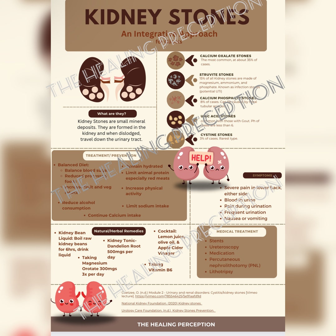 Kidney Stone Infographic - Etsy