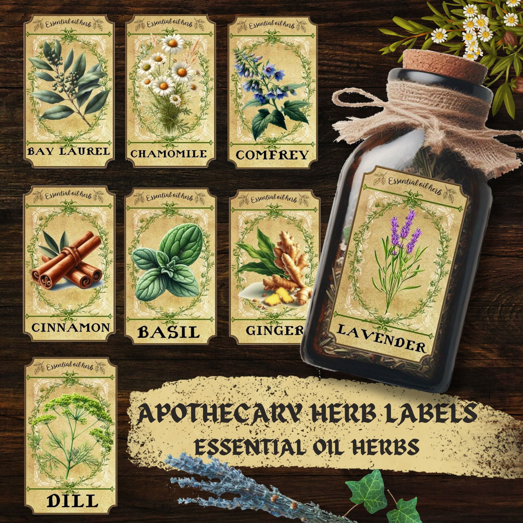 Apothecary Herb Labels Download, 64 Printable Essential Oil Herbs ...