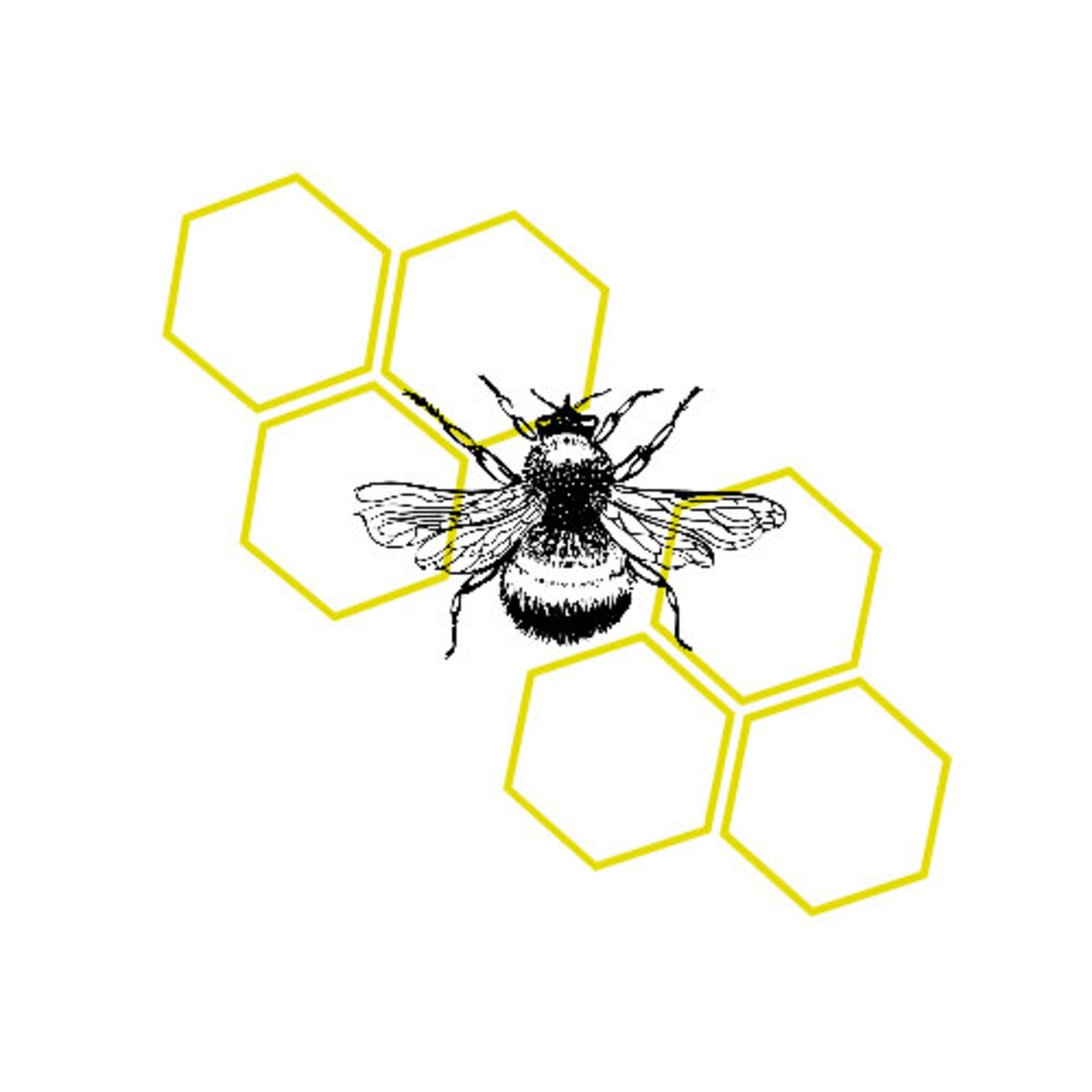Bee Themed Digital Stickers - Etsy