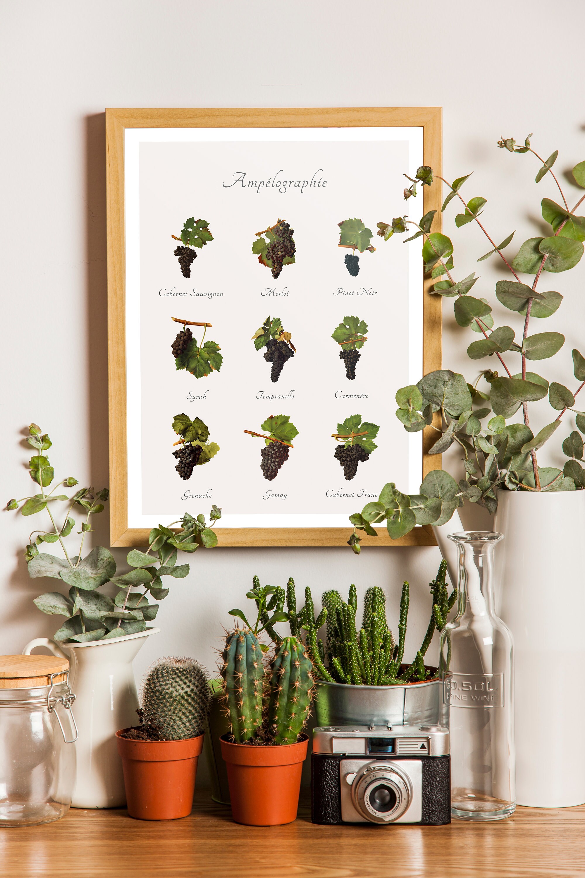 Blue Grape Varieties Poster Red Wine Print Wine Lovers Gift Neutral ...