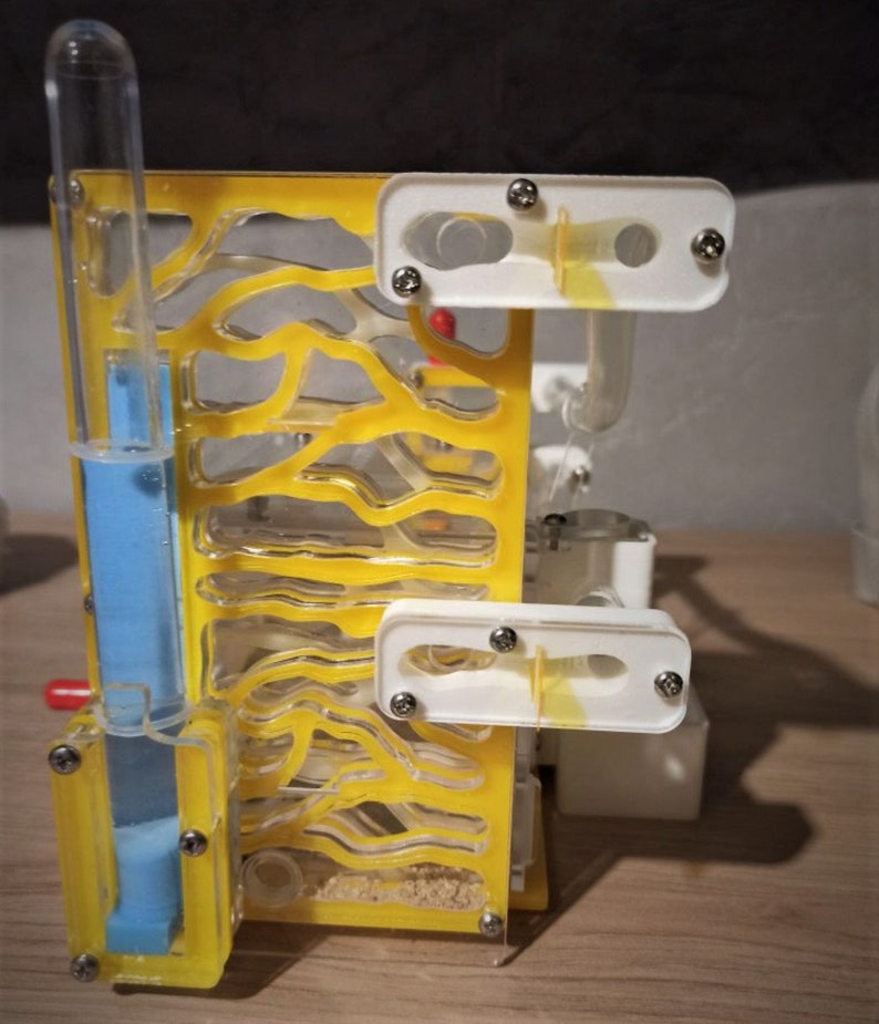 DIY Ant Farm Kit: 3D Printed Acrylic Ant City (11x15x21cm) - Etsy