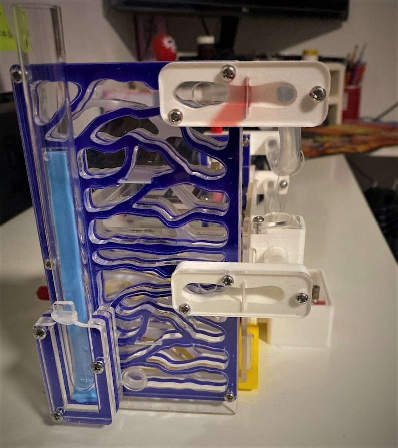 DIY Ant Farm Kit: 3D Printed Acrylic Ant City (11x15x21cm) - Etsy