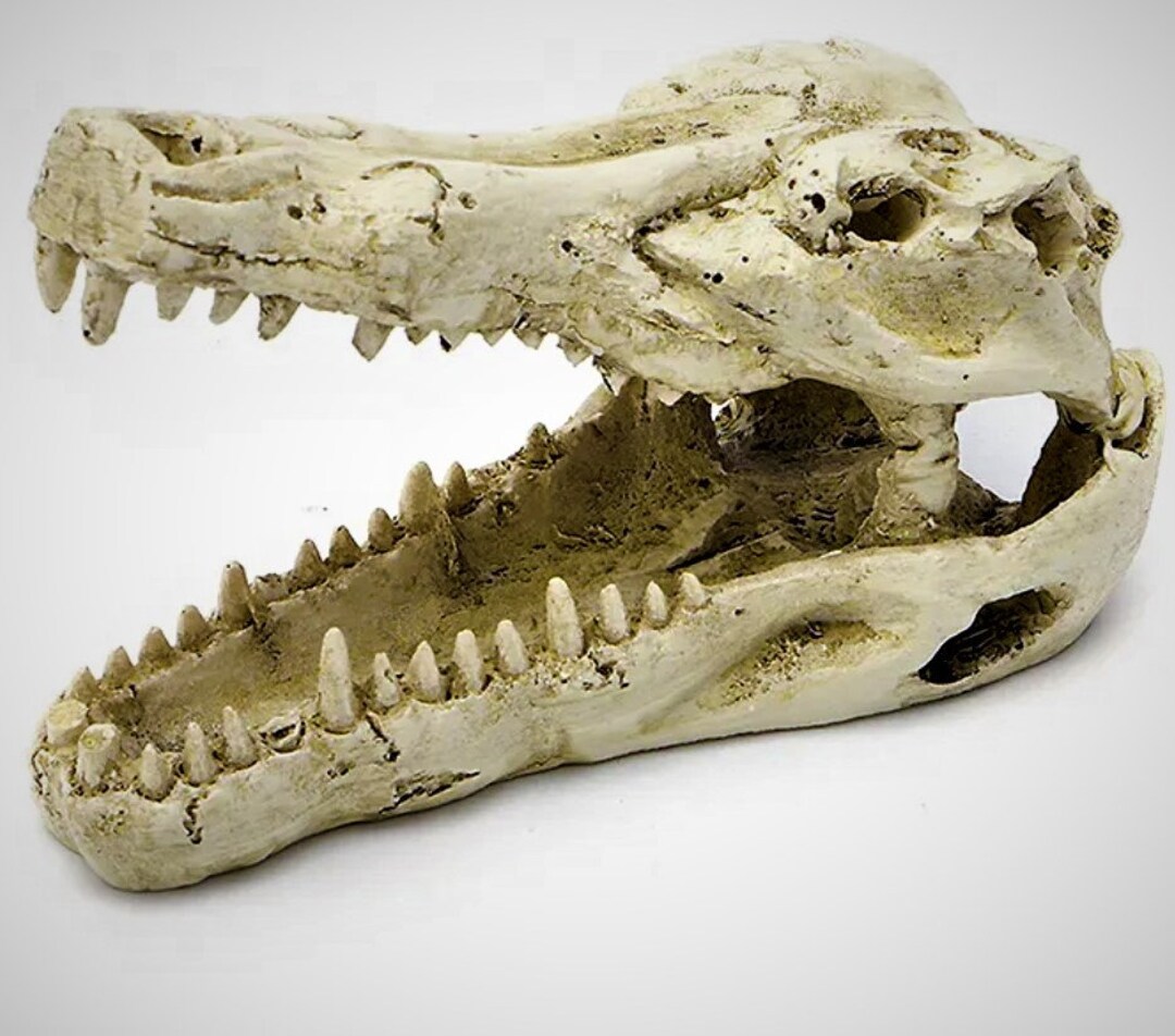 Crocodile Skull Tank Decoration Aquarium Vivarium Terrarium Shrimp Fish ...