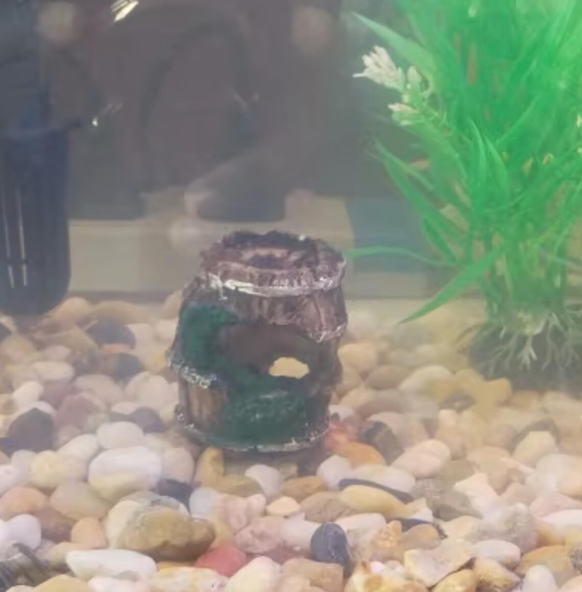 Resin Aquarium Barrel: Tiny Fish & Shrimp Hideout (6.5x5cm) - Etsy
