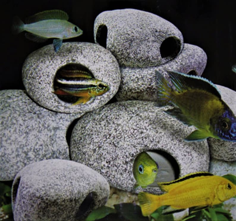 Hollow Resin Stone Aquarium Decor - 17cm - Cichlid Fish Cave, Shrimp ...