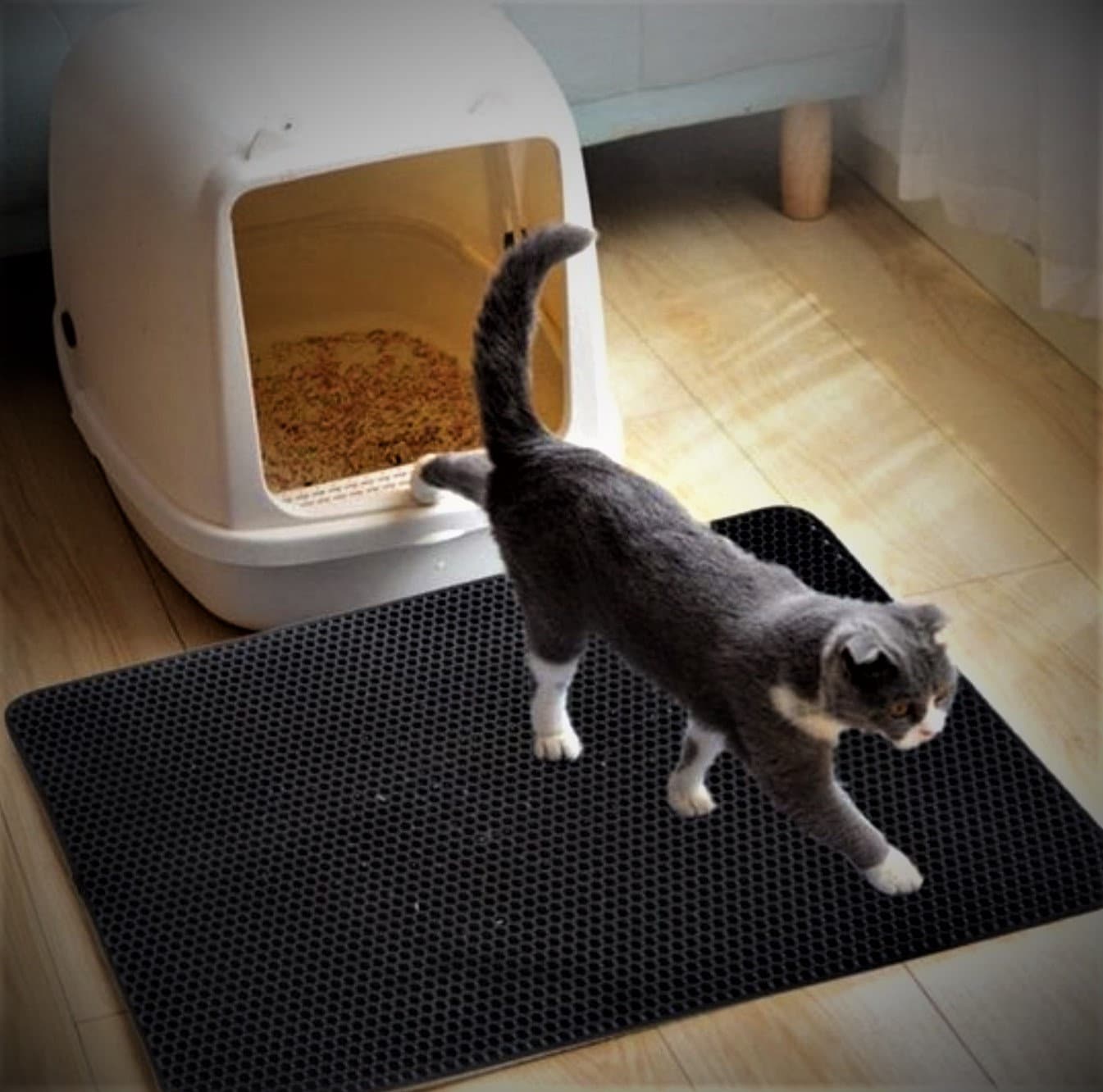 Cat Litter Mat - Kitty Litter Mat for Collecting Loose Litter and ...