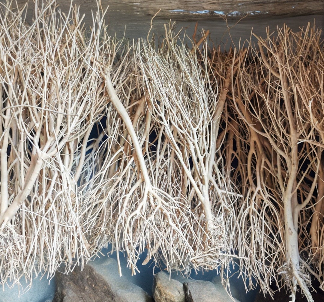 Aquarium Aquascaping Pale Roots for Tank Decoration - Perfect Hiding ...