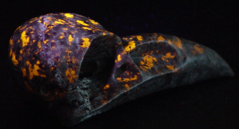 Yooperlite Raven Skull – Hand Carved Crystal Crow Head – UV Reactive ...