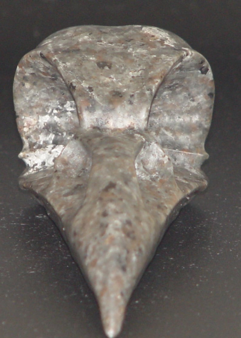 Yooperlite Raven Skull – Hand Carved Crystal Crow Head – UV Reactive ...