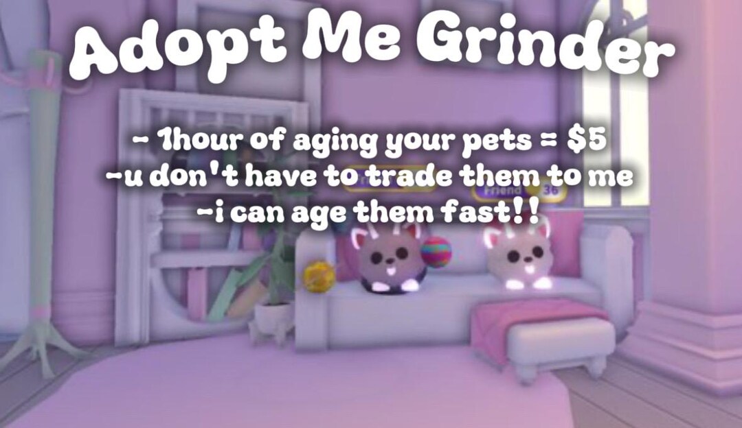 Adopt Me Pet Aging Service: 1 Hour Babysitting - Etsy