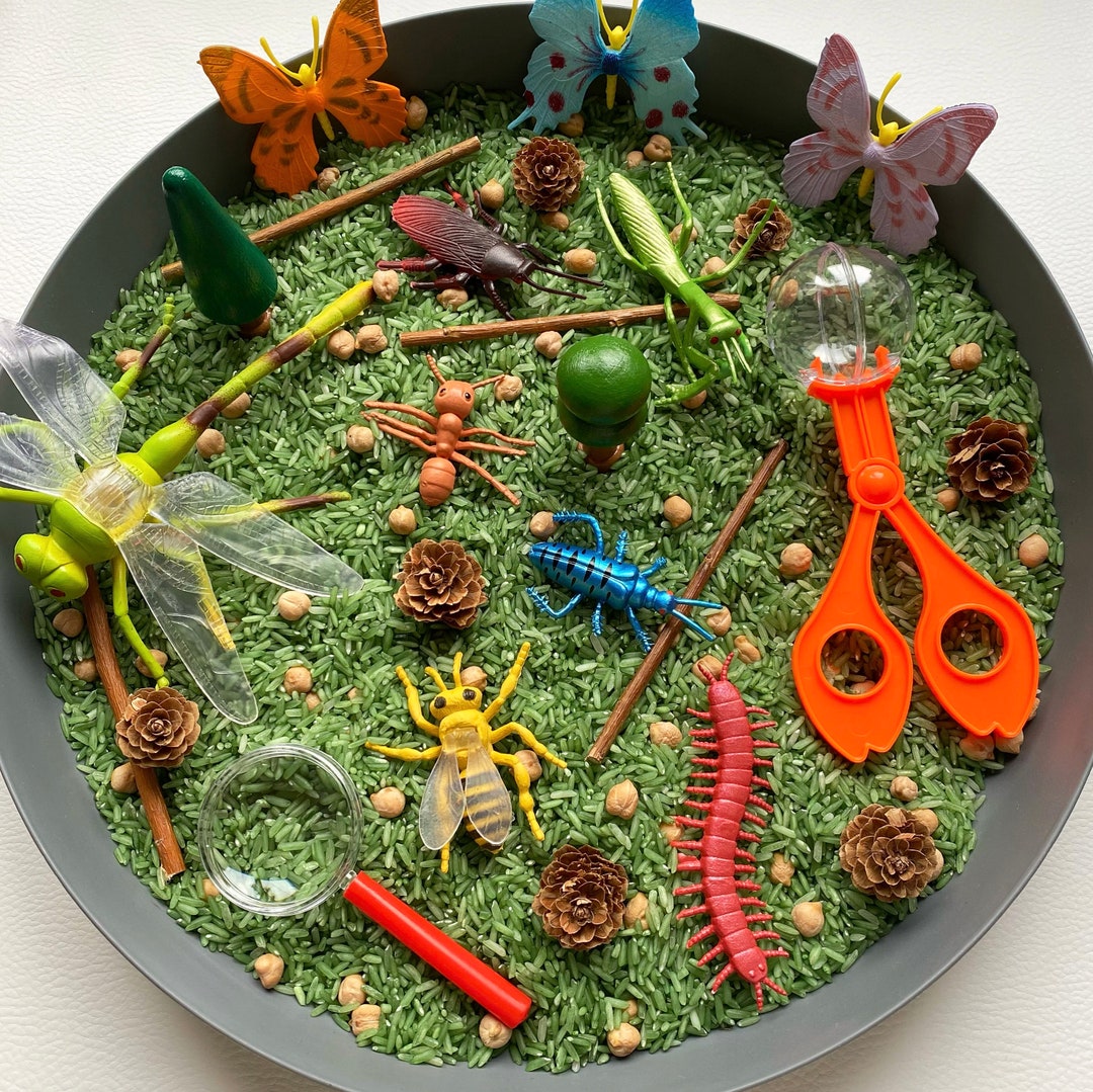 Bug Hunt Sensory Play Kit - Etsy