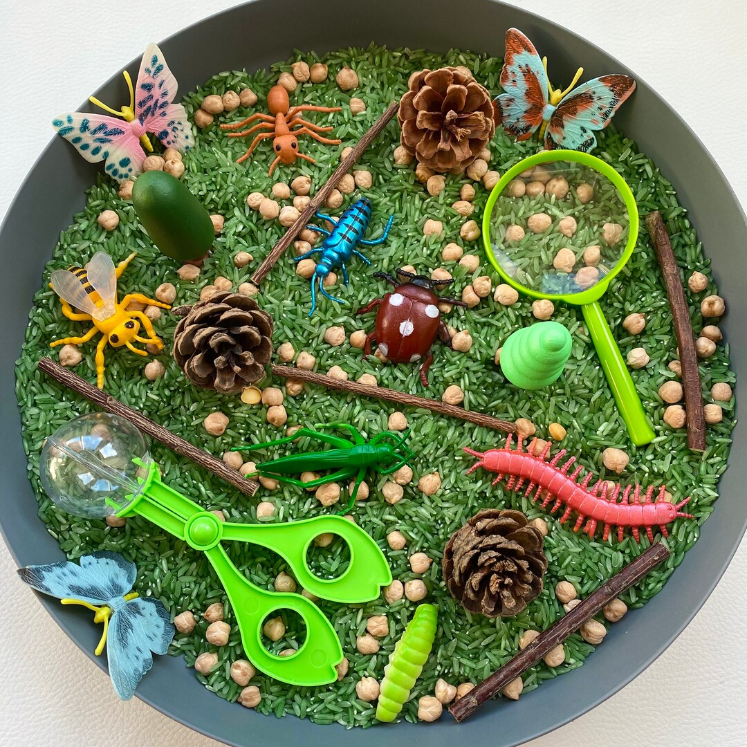 Bug Hunt Sensory Tray Kit - Etsy UK