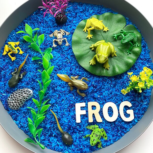 Tuff Tray Insert - Etsy UK