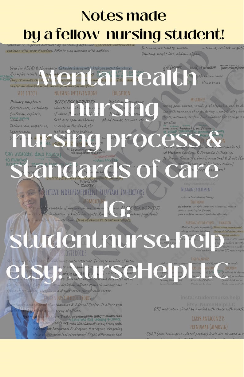Mental Health Nursing Notes: Nursing Process & Standards of Care - Etsy