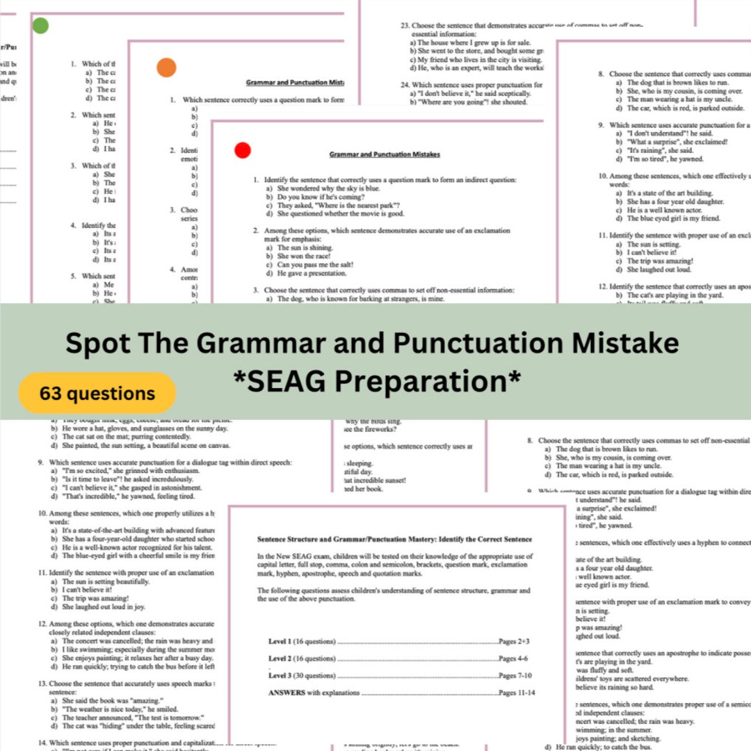 Spot the Grammar Mistakes SEAG - Etsy