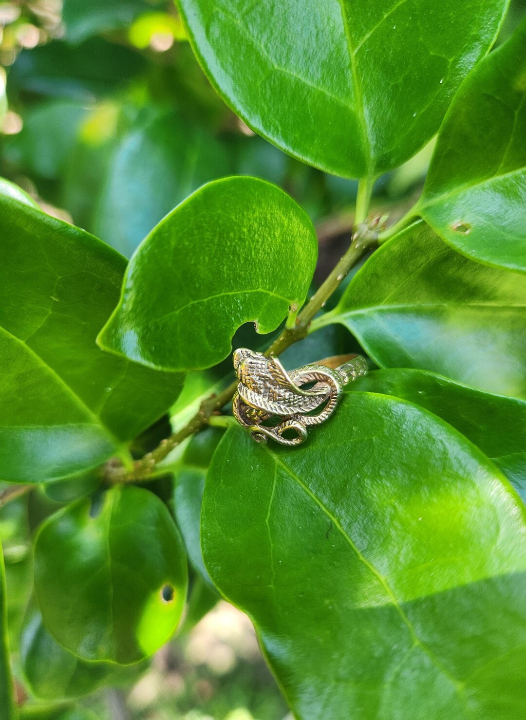 Snake/serpent Symbolic Ring Circa 1970s - Etsy