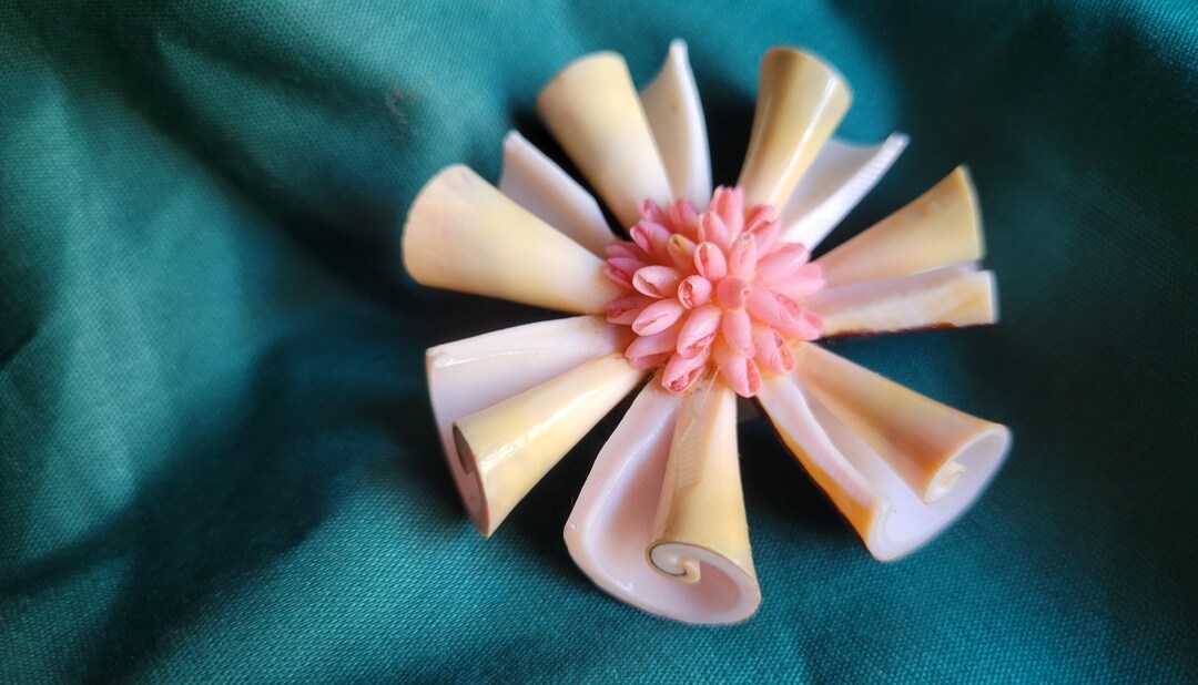 Sea Bugle Shell Brooch/pin - Etsy