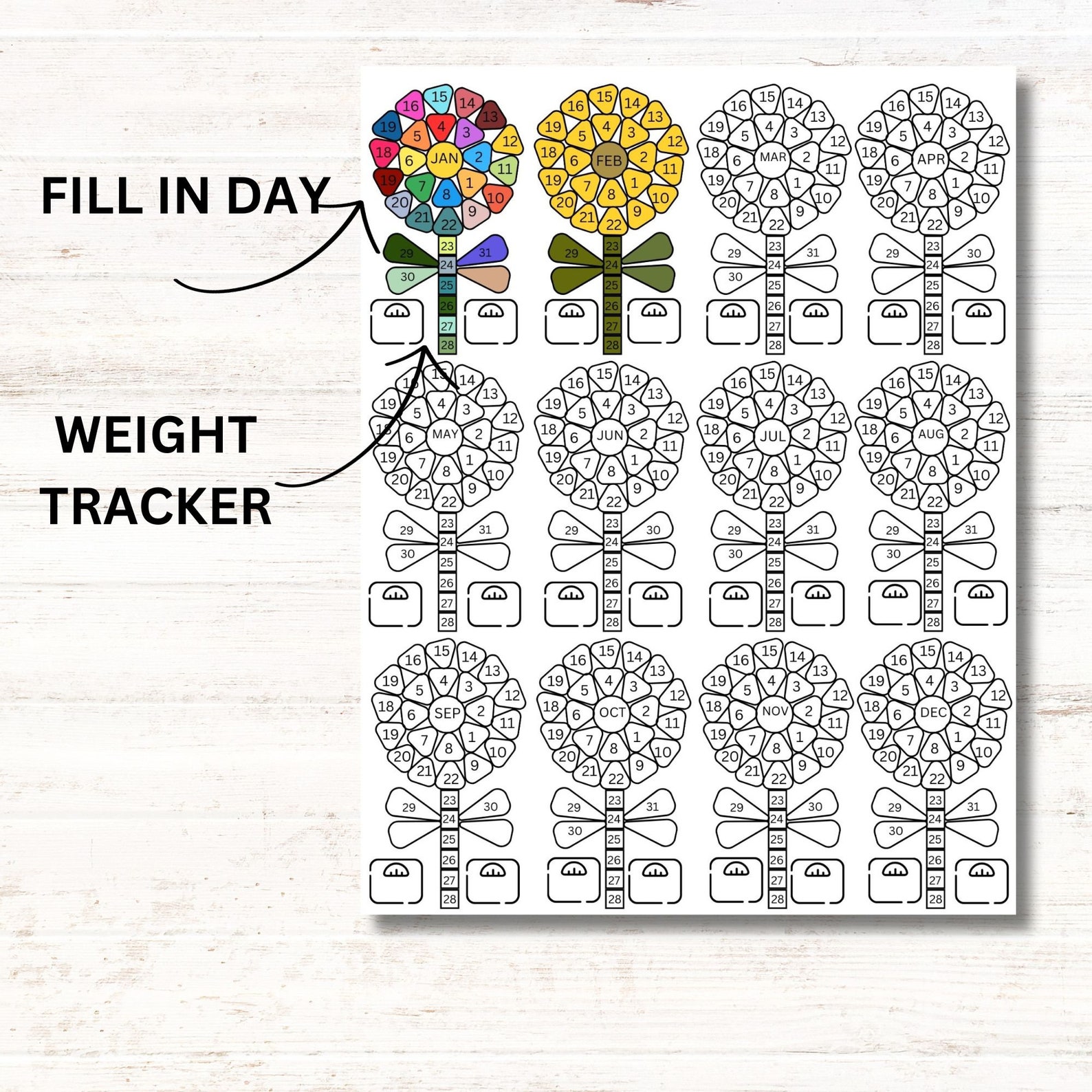 2024 Workout Tracker Color, Digital Workout Tracker, Fitness Tracker ...