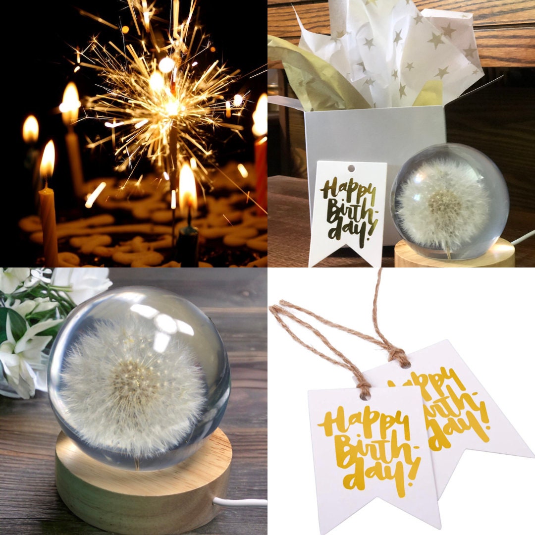 Graduation WISH Gift Wish Light Dandelion Desk Light Real Dandelion ...