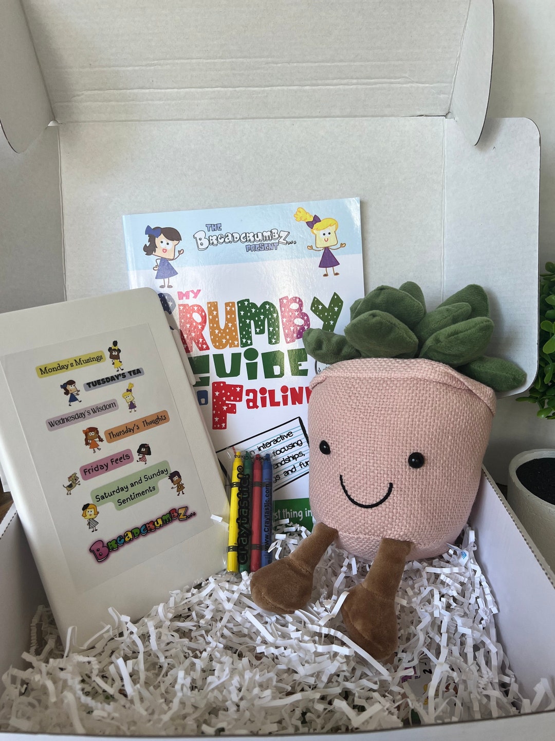 Friendz and Feelingz Book Box for Kids! Includes Book, Journal, and ...