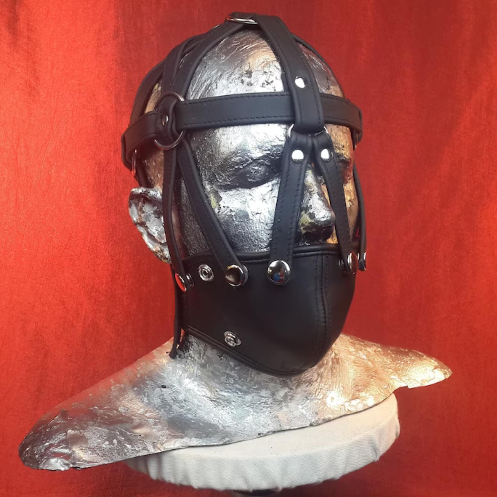 Forced Closed Mouth Muzzle Head Cage Harness With Removable Face Mask ...