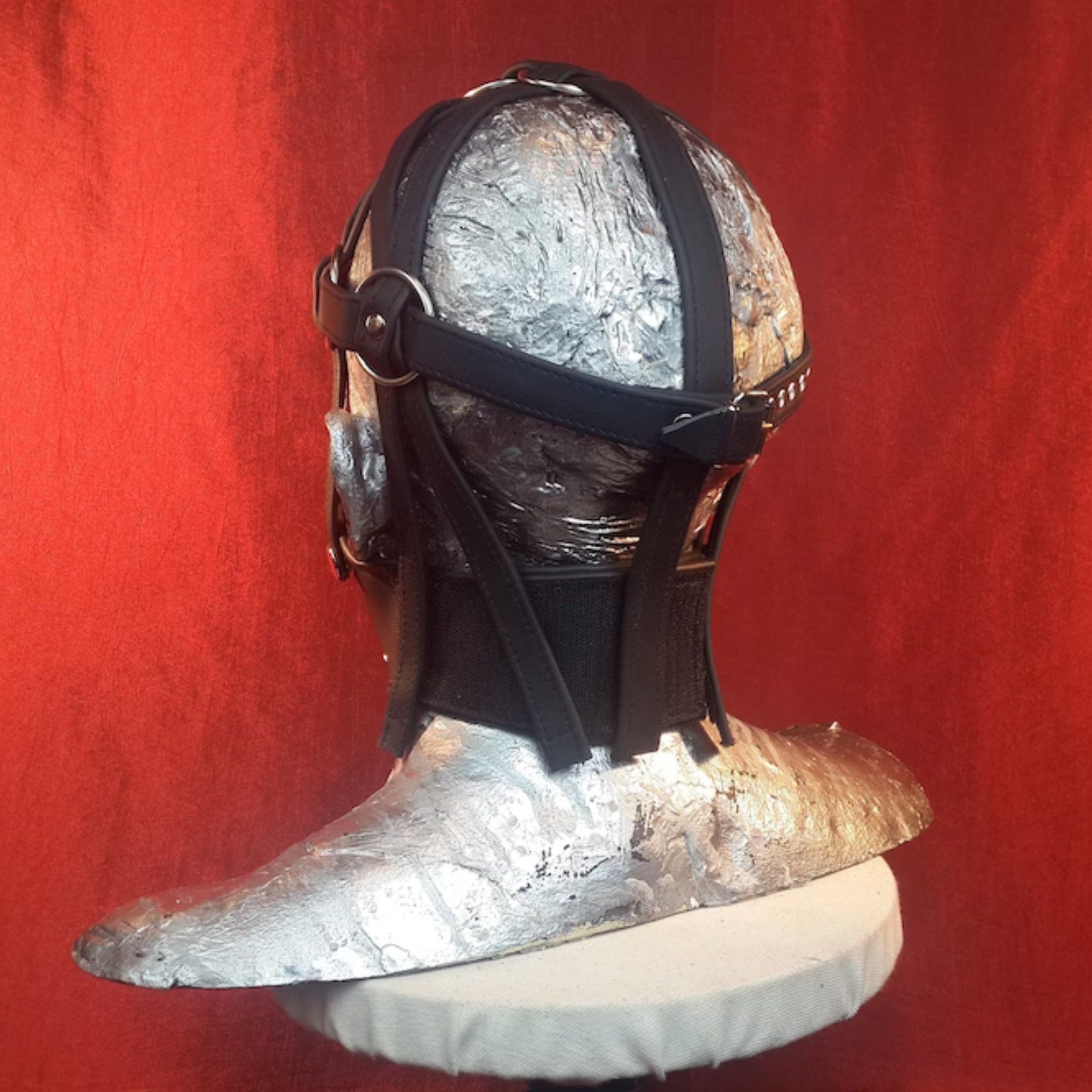 Forced Closed Mouth Muzzle Head Cage Harness With Removable Face Mask ...