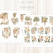 Watercolor Greek Mythology Stickers: Ancient Roman Ephemera (digital ...