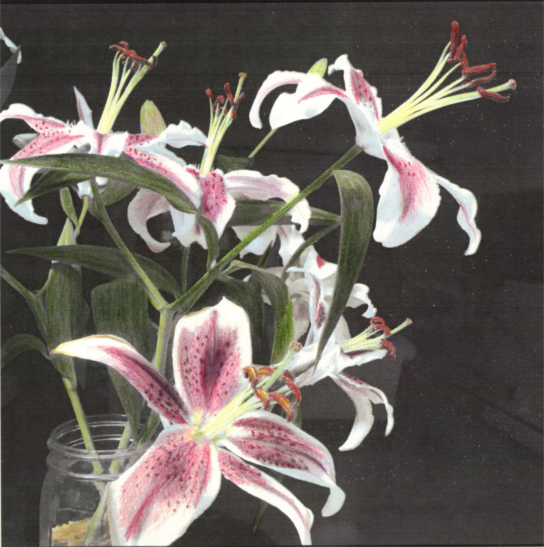 Hand Colorized Photo - Original Art-oriental Lilies. 6x6 Photo. Vintage ...