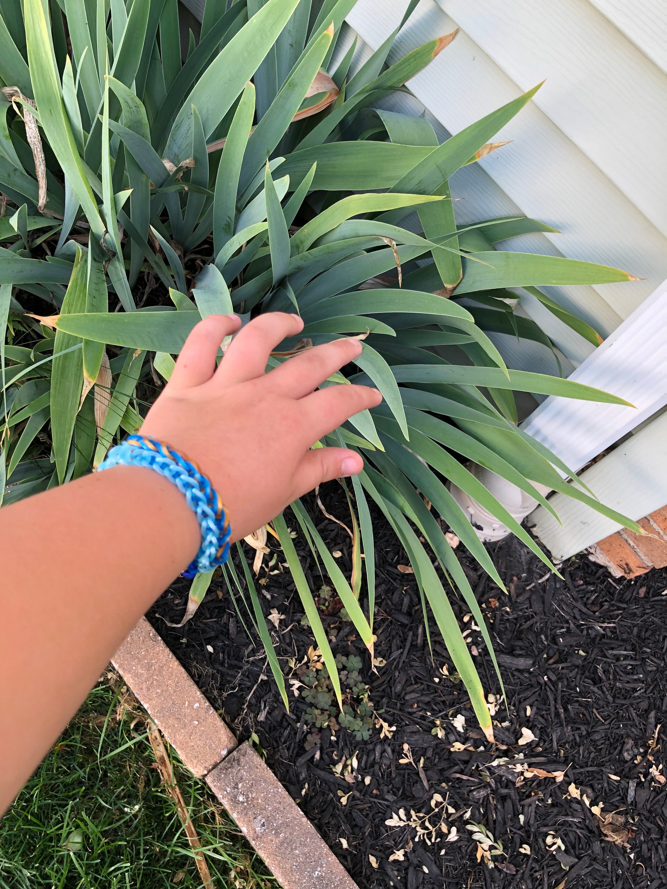 Raindrop Rainbow Loom