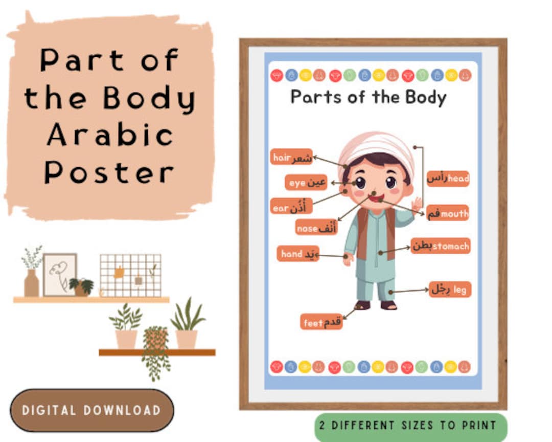 Parts of the Body Arabic Educational Poster for Home and School, Arabic ...