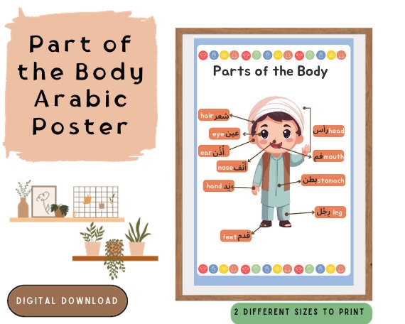 Parts of the Body Arabic Educational Poster for Home and School, Arabic ...