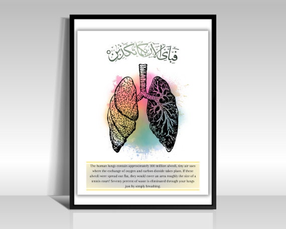 Human Anatomy Poster,brain Poster, Heart Poster,science Wall Art,school ...