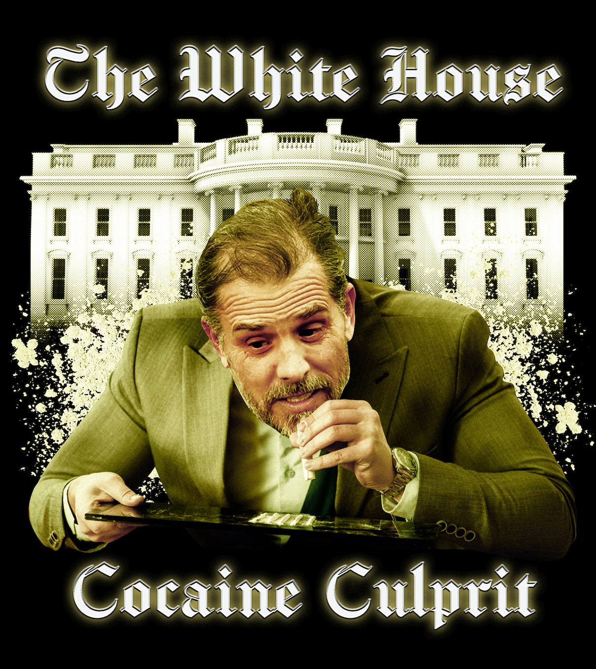 Hunter Biden White House Coke Culprit - Etsy