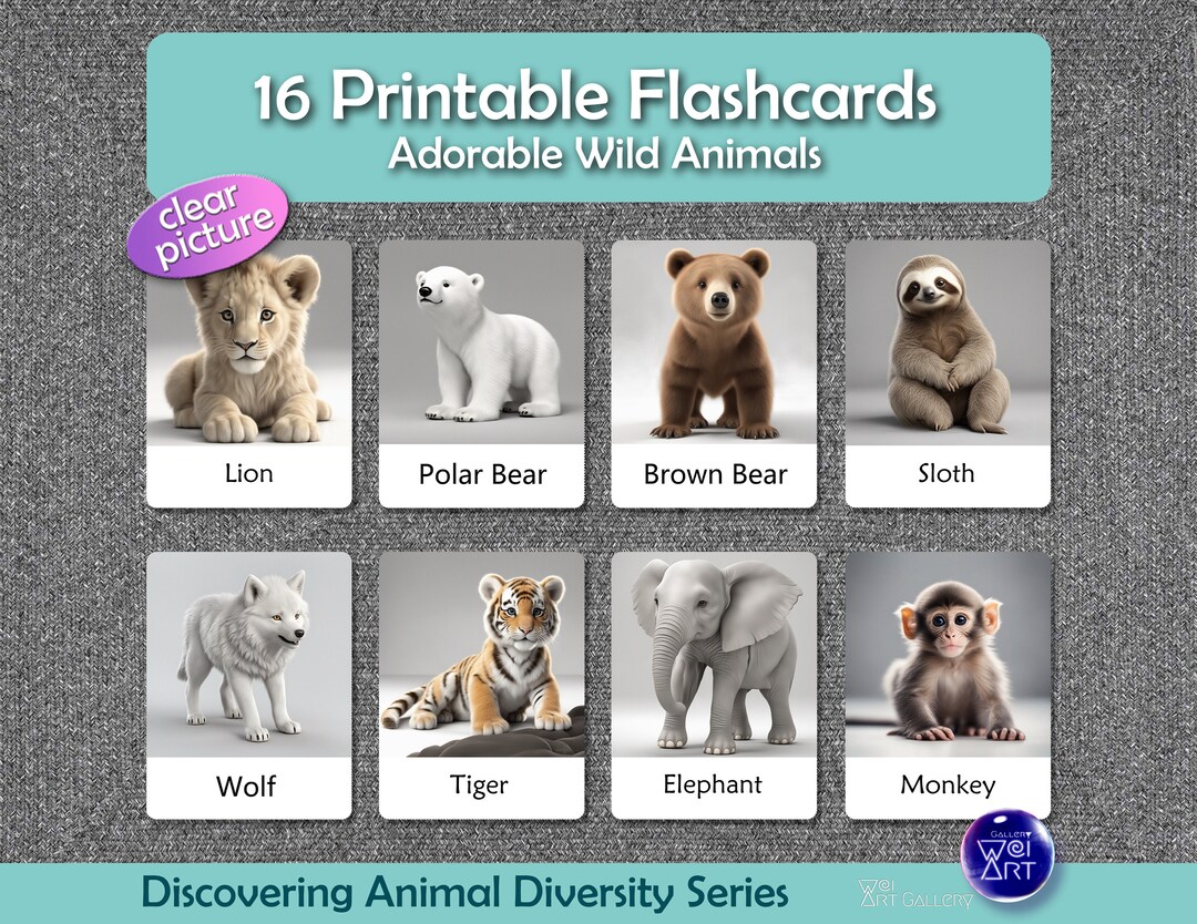 Adorable Wildlife Flashcards Montessori Teaching Aids for - Etsy