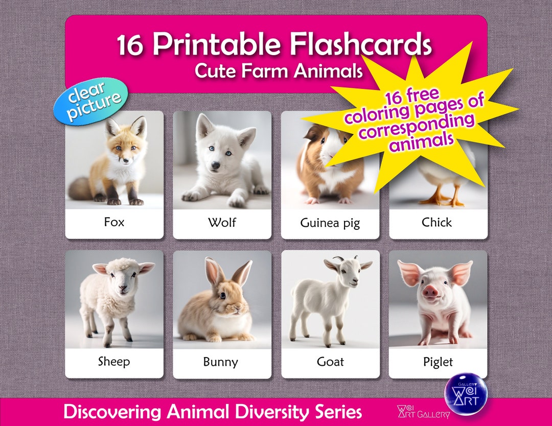 Thanksgiving Gift: Farm Animal Flashcards Montessori - Etsy