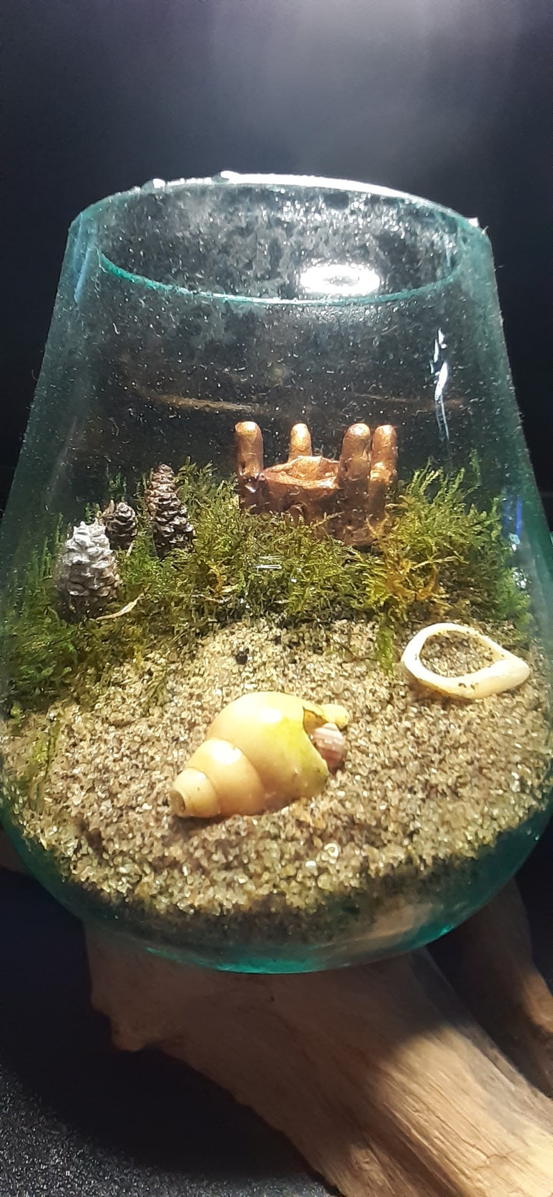 Log Based Glass Terrarium CONCEPT - Etsy