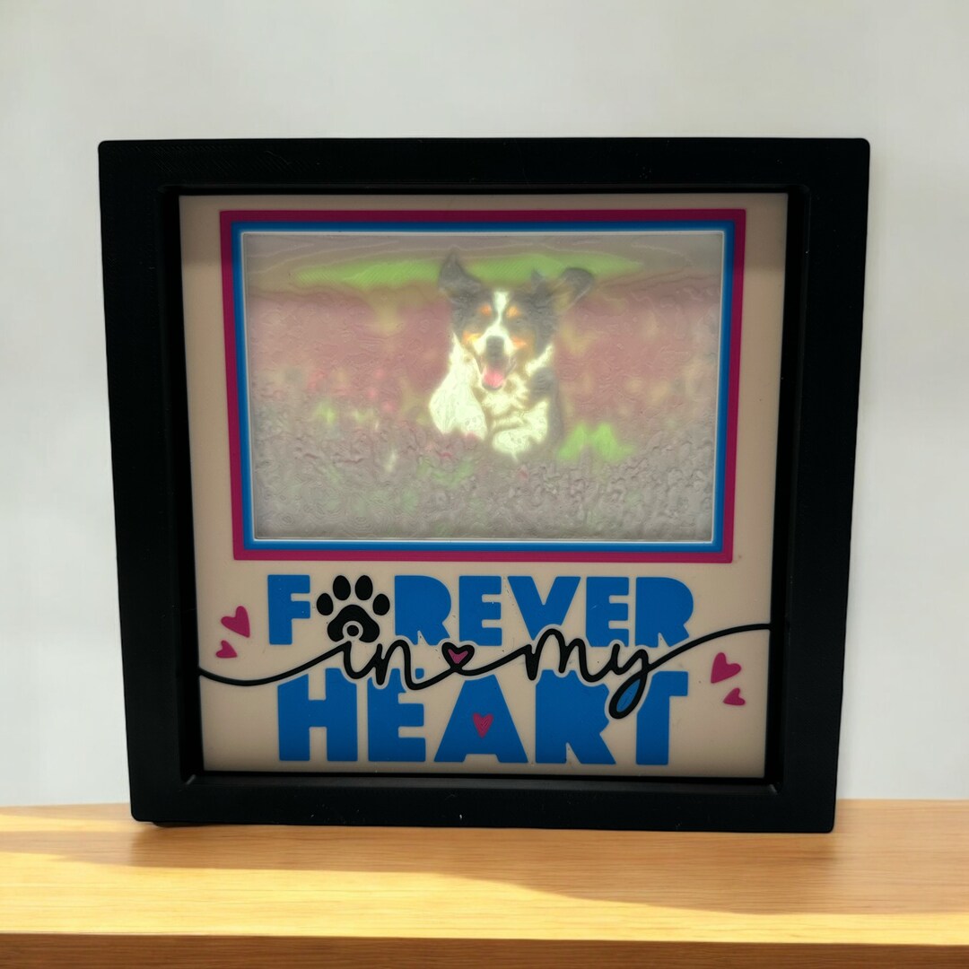 Personalized Pet Memorial Shadow Box Light Custom Pet Loss Gift Forever ...