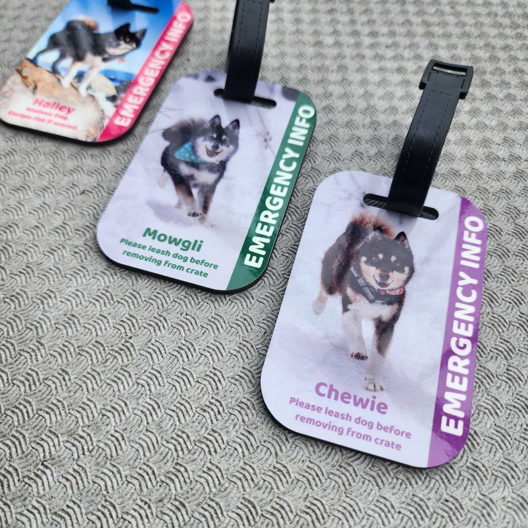 Custom E-tag | in Case of Emergency Info | Travel Crates and Bags Signs ...