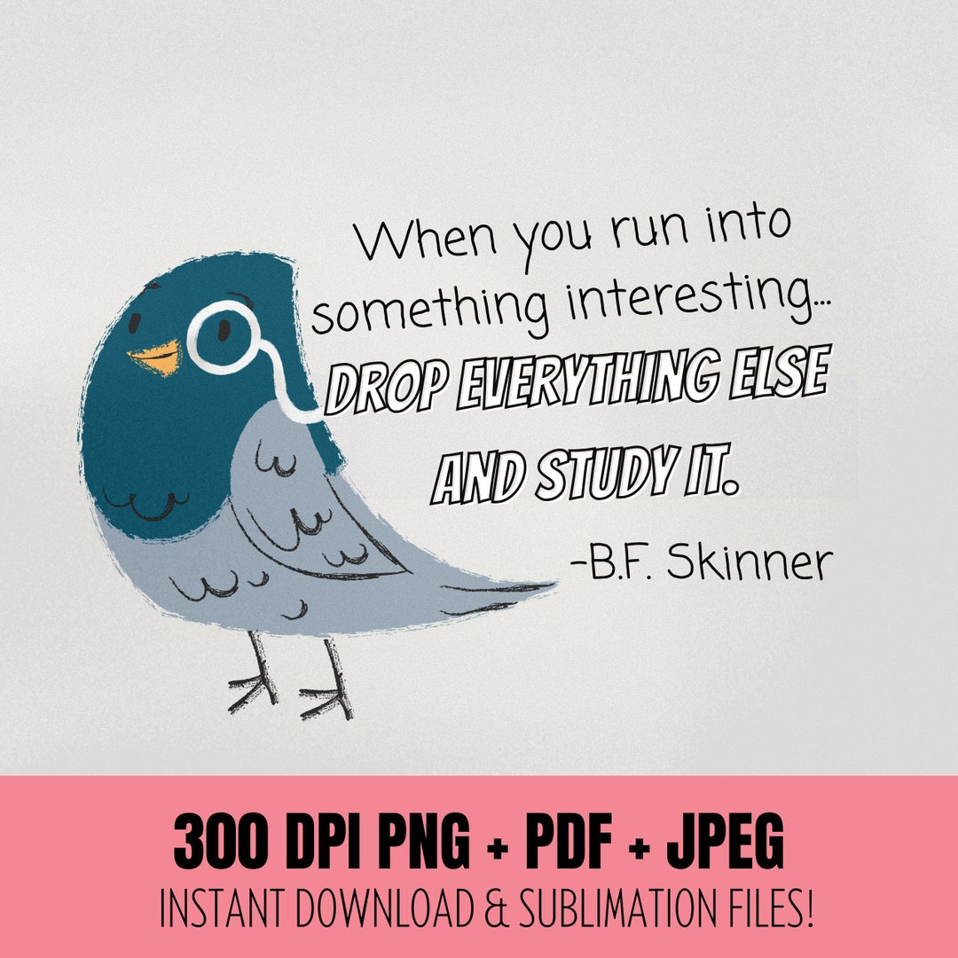 When You Run Into Something Interesting... Drop Everything and Study It ...