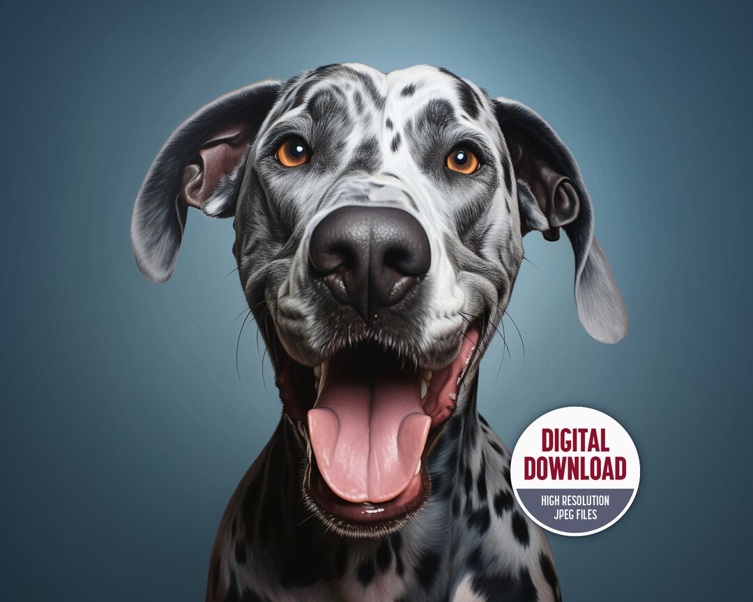 Printable Art of a Happy Great Dane. - Etsy
