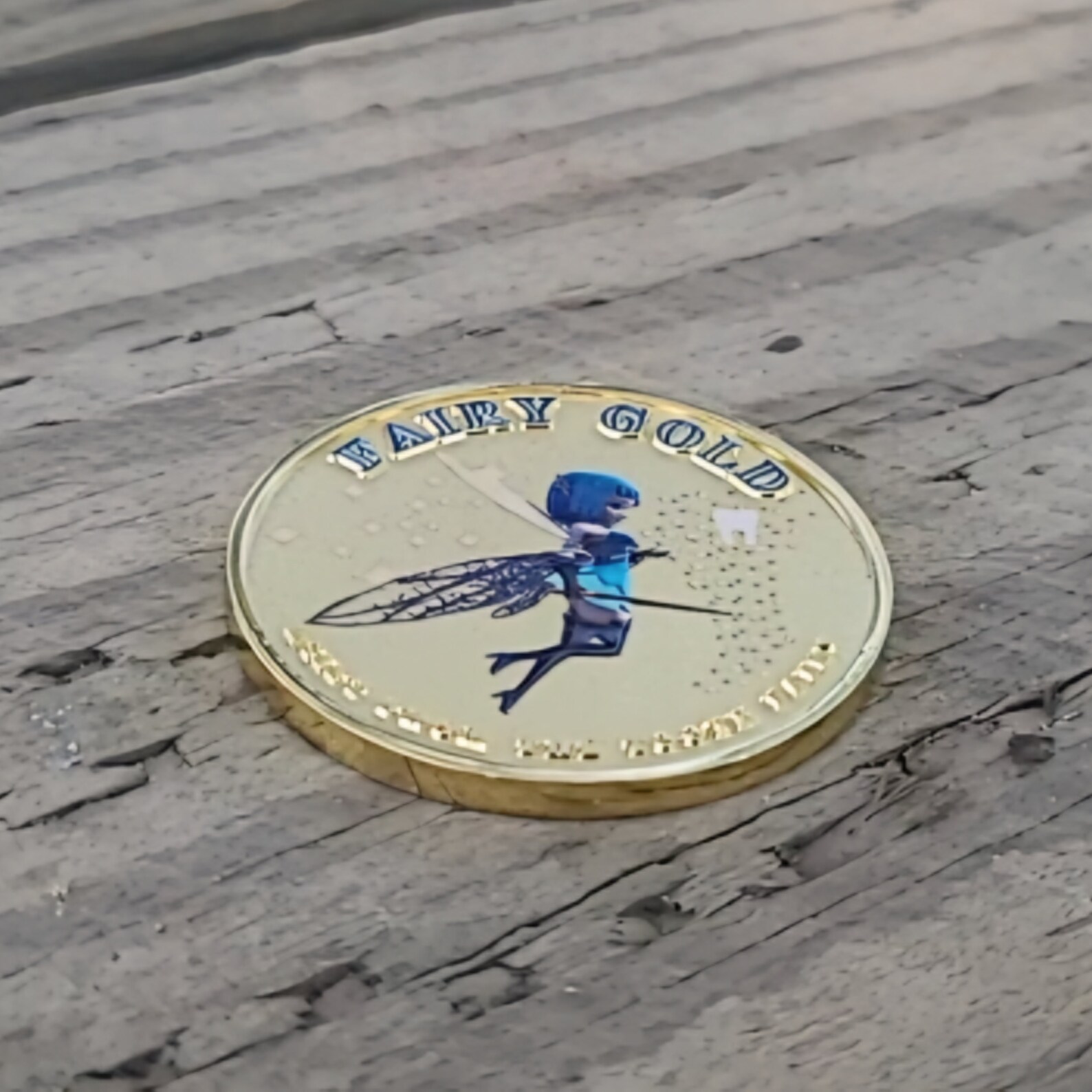 Tooth Fairy Coin Metal Coin, Magical Gift Idea, Collectible Coin, Fairy ...