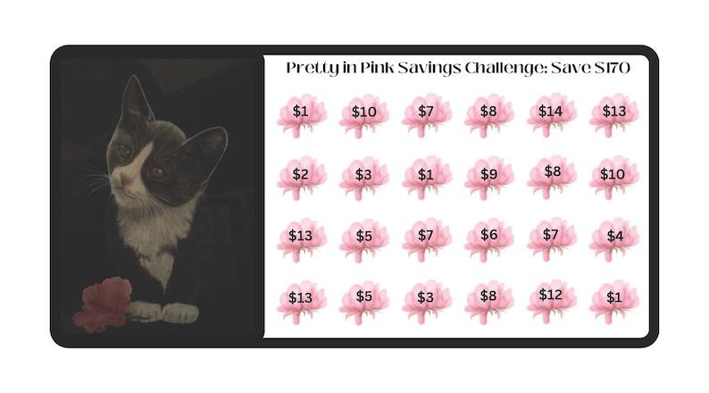 Pretty in Pink 170 Dollar Savings Challenge Download, Printable, PDF ...