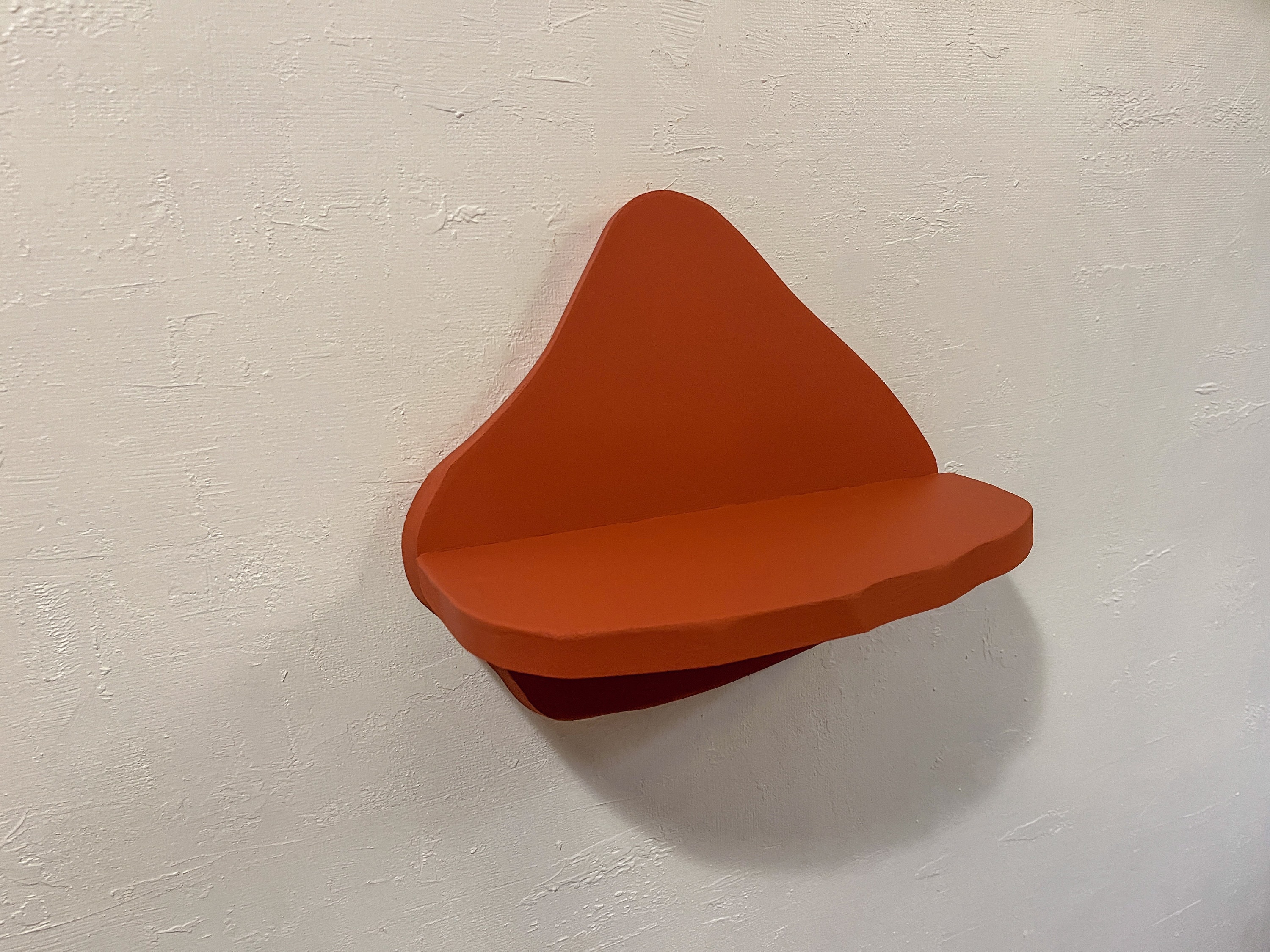 Decorative Wall Shelf, Abstract Shapes, Colorful and Wavy Plant Shelves ...