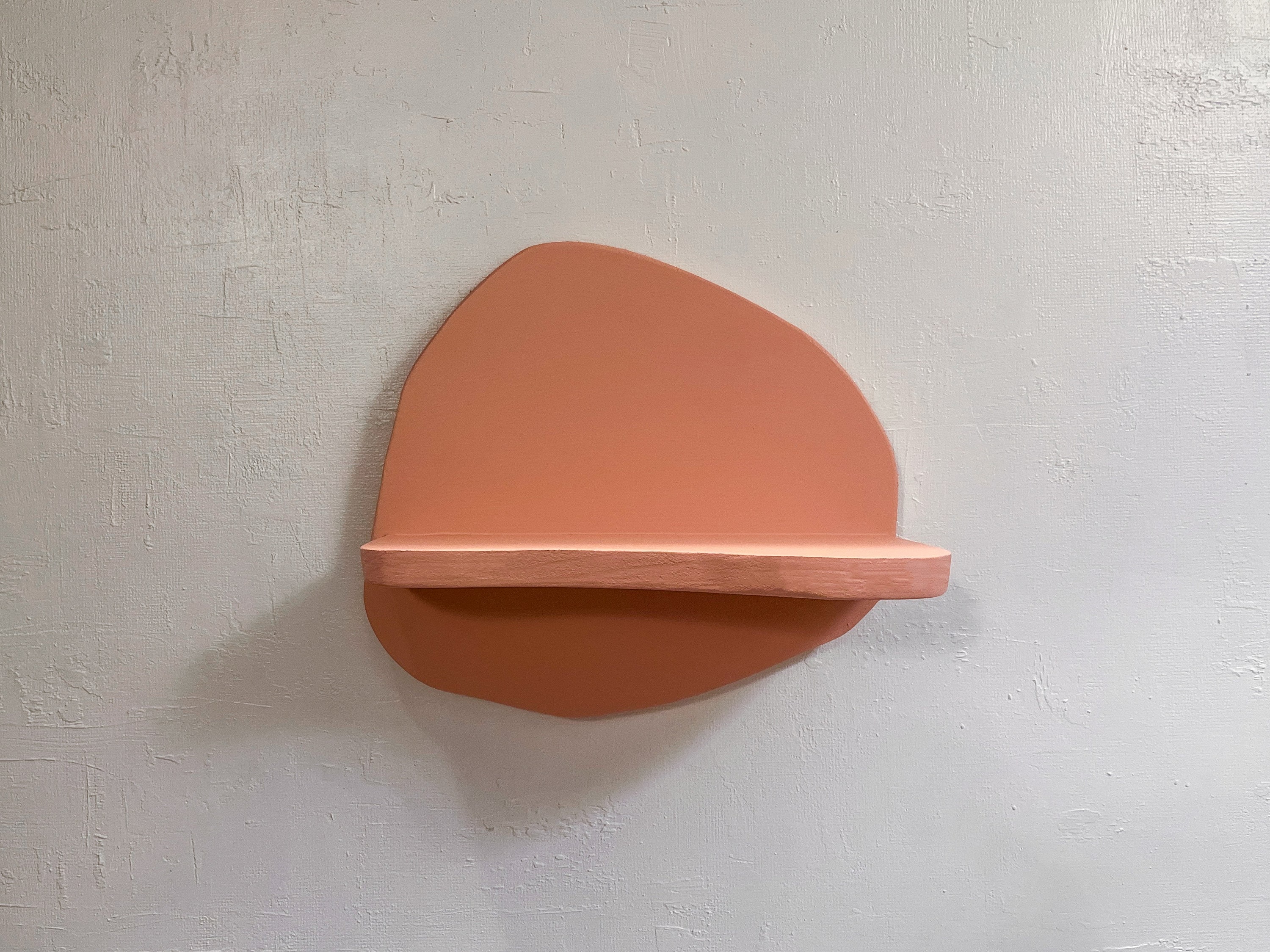 Decorative Shelf, Abstract Shape Colorful Wavy Shelves, Wall Decor ...