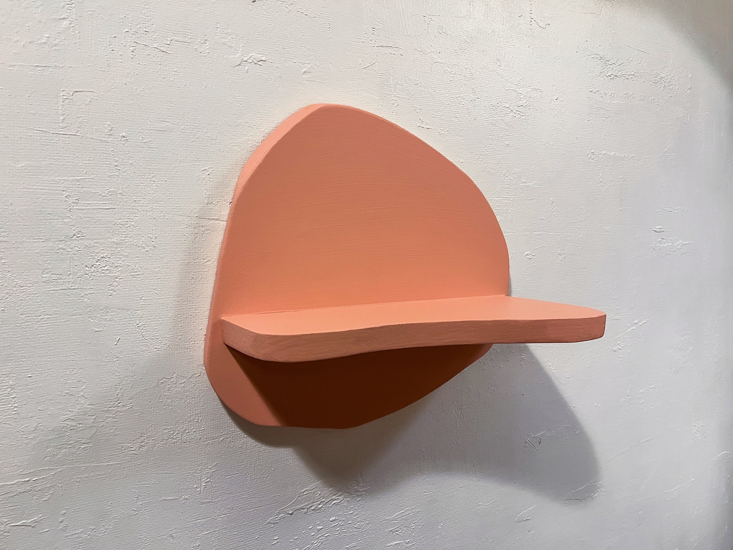 Decorative Shelf, Abstract Shape Colorful Wavy Shelves, Wall Decor ...