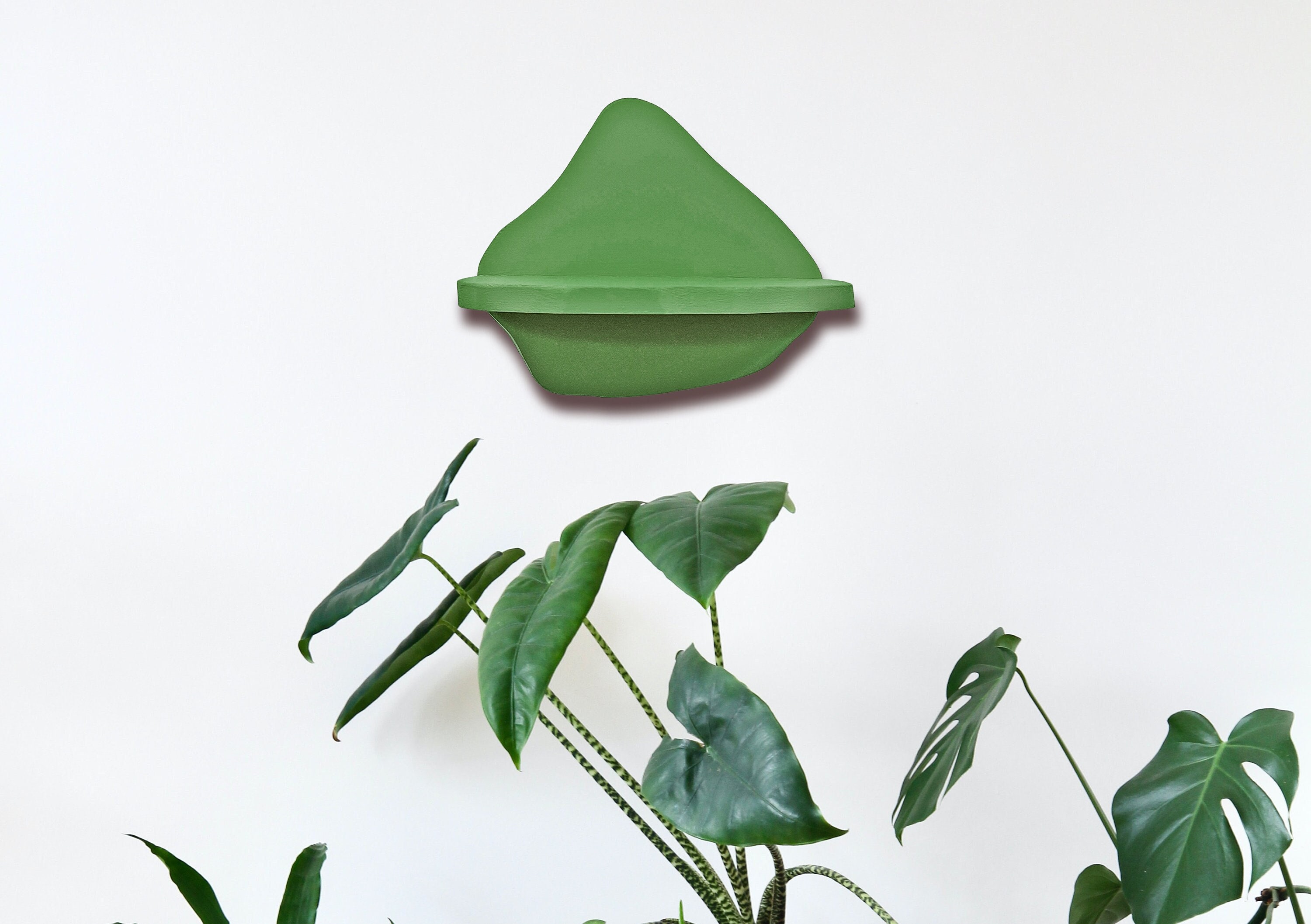 Decorative Wall Shelf, Abstract Shapes, Colorful and Wavy Plant Shelves ...