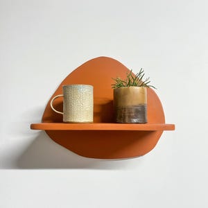 Floating Shelf, Oblong Decorative Wall Storage Organic Shape - Etsy